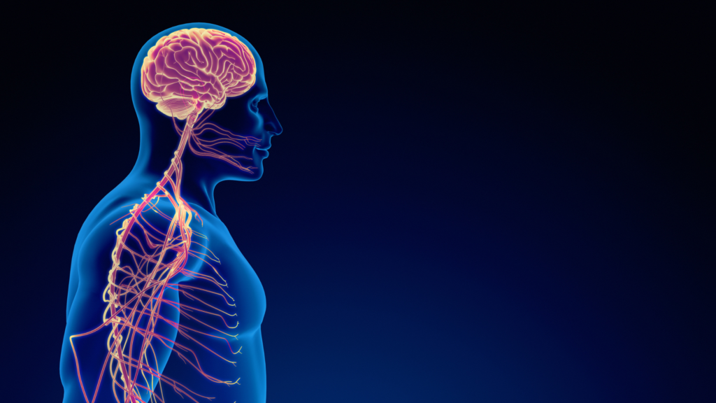 How Chronic Pain Affects the Central Nervous System - Sonoran Pain & Spine